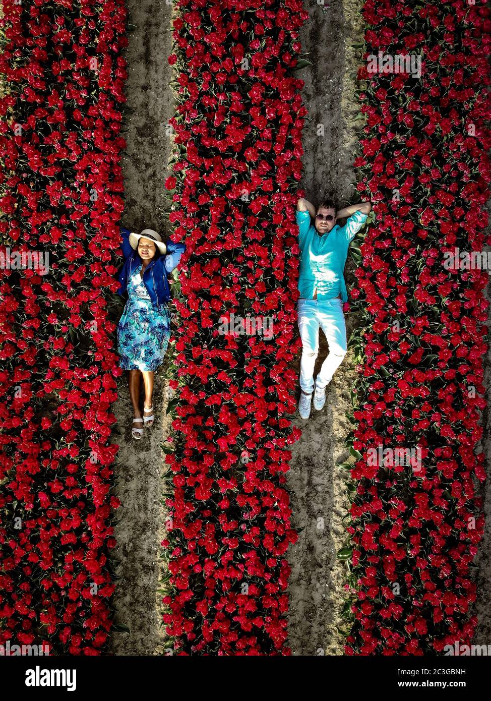 Keukenhof aerial hi-res stock photography and images - Alamy