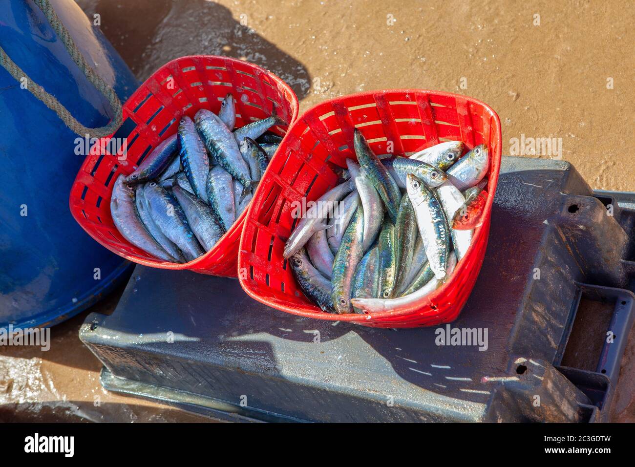 Sardina traditional hi-res stock photography and images - Alamy