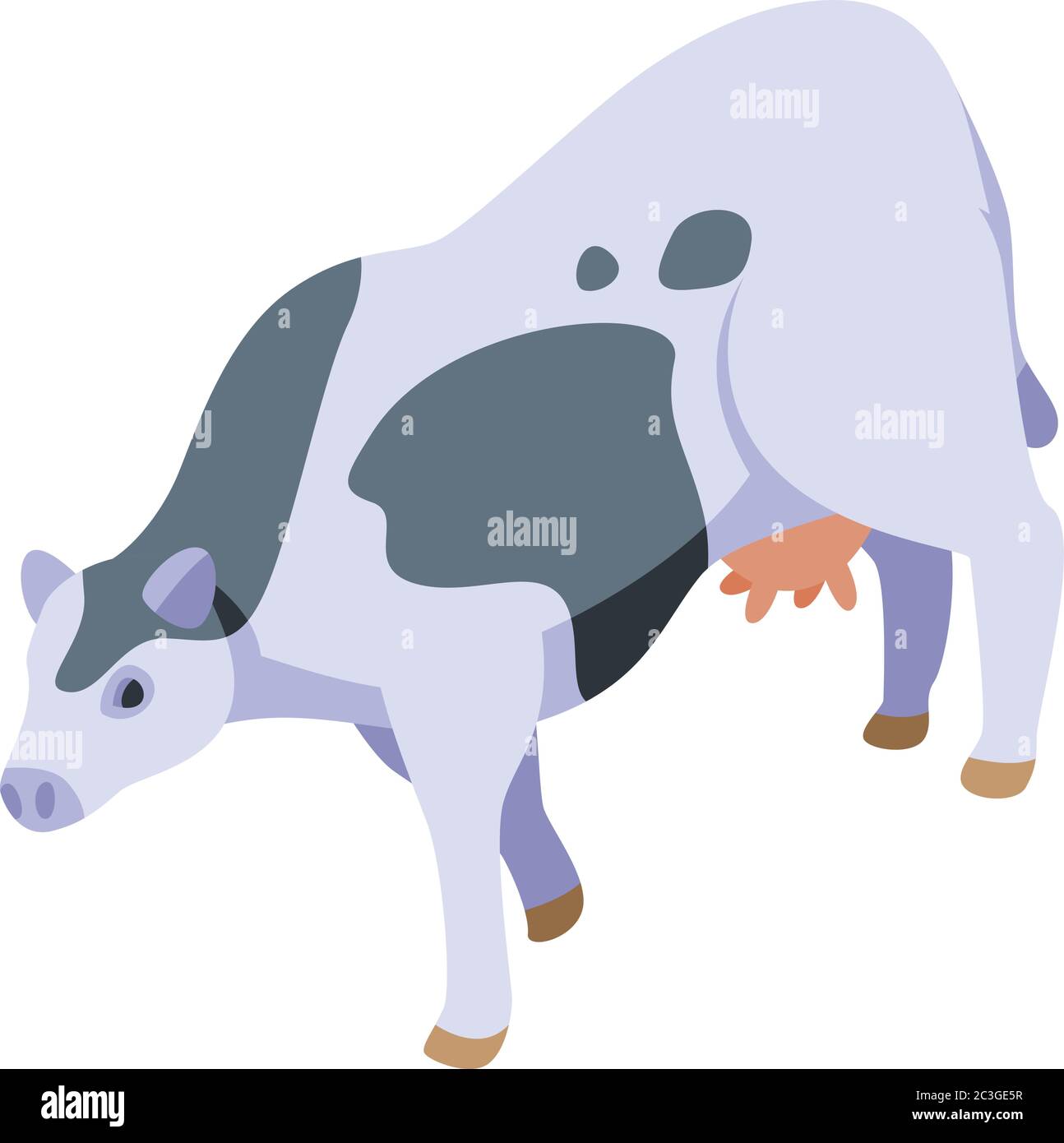 Farm milk cow icon, isometric style Stock Vector Image & Art - Alamy