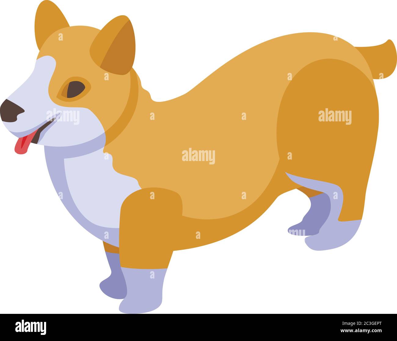 Breed corgi dogs icon, isometric style Stock Vector Image & Art - Alamy