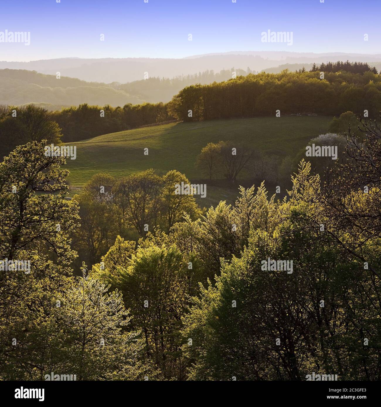 Landscape of the Lenne Mountains in Wiblingwerde, Nachrodt-Wiblingwerde ...