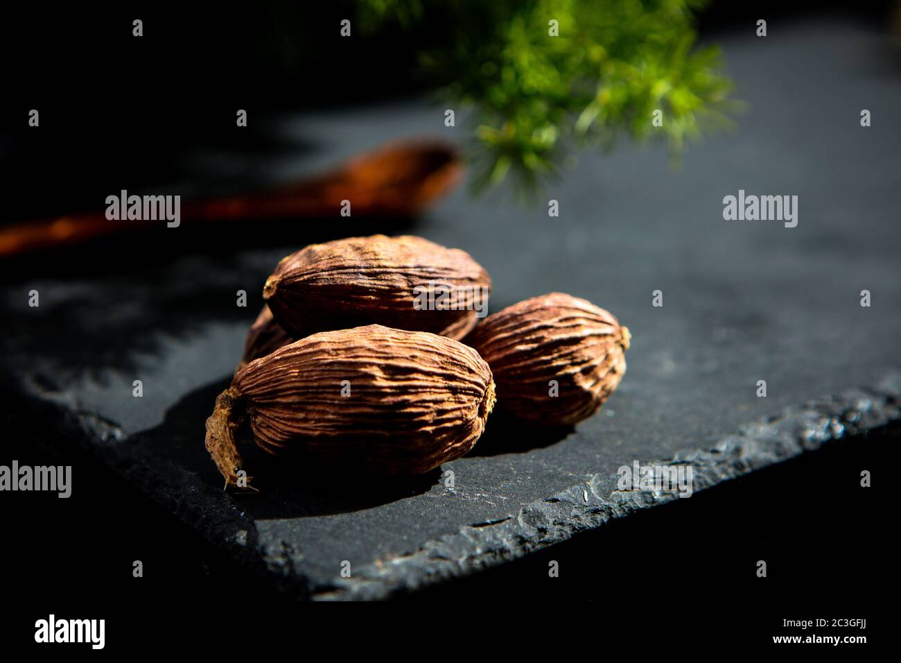 Amomum tsao ko hi-res stock photography and images - Alamy