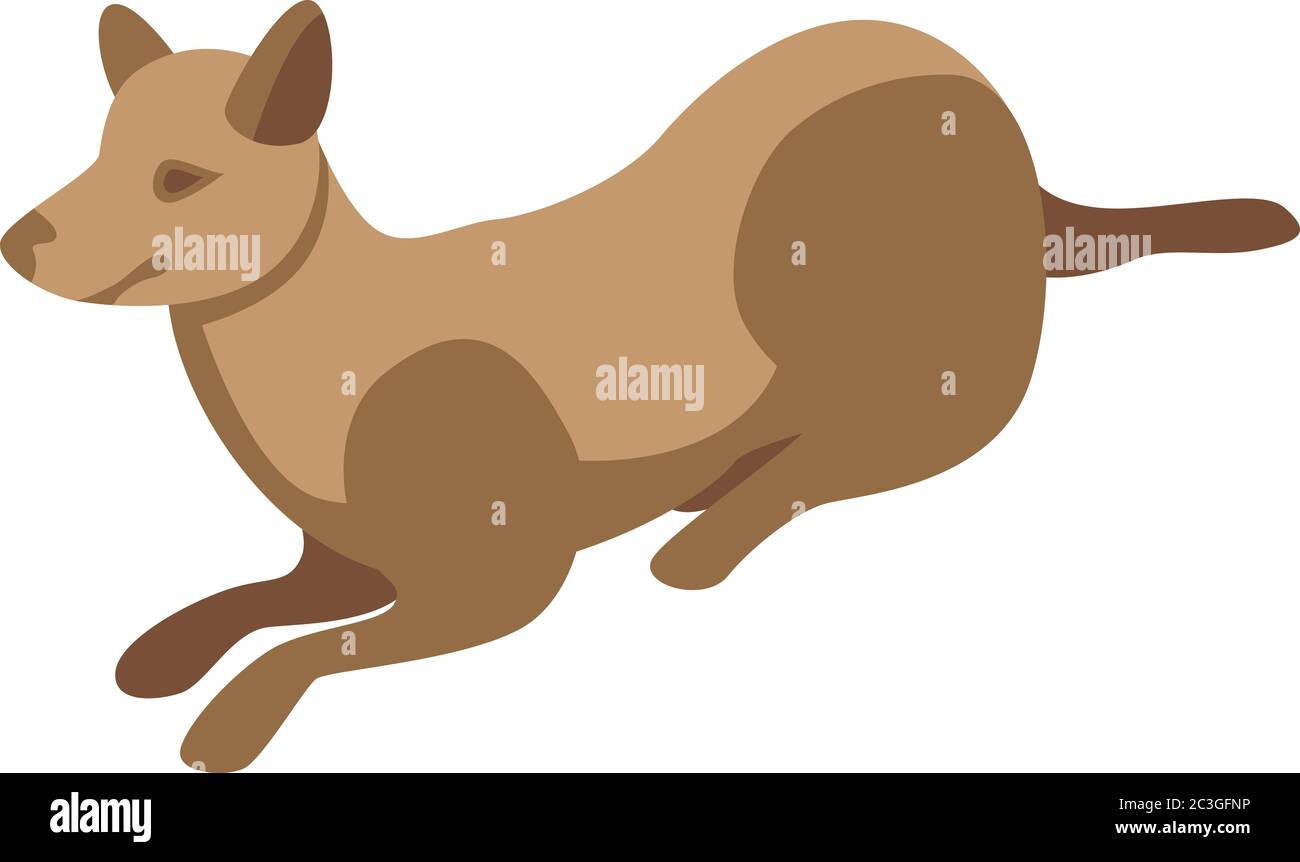 Agility dog walk Cut Out Stock Images & Pictures - Alamy