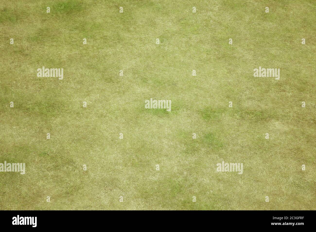 Overhead grass texture hi-res stock photography and images - Alamy