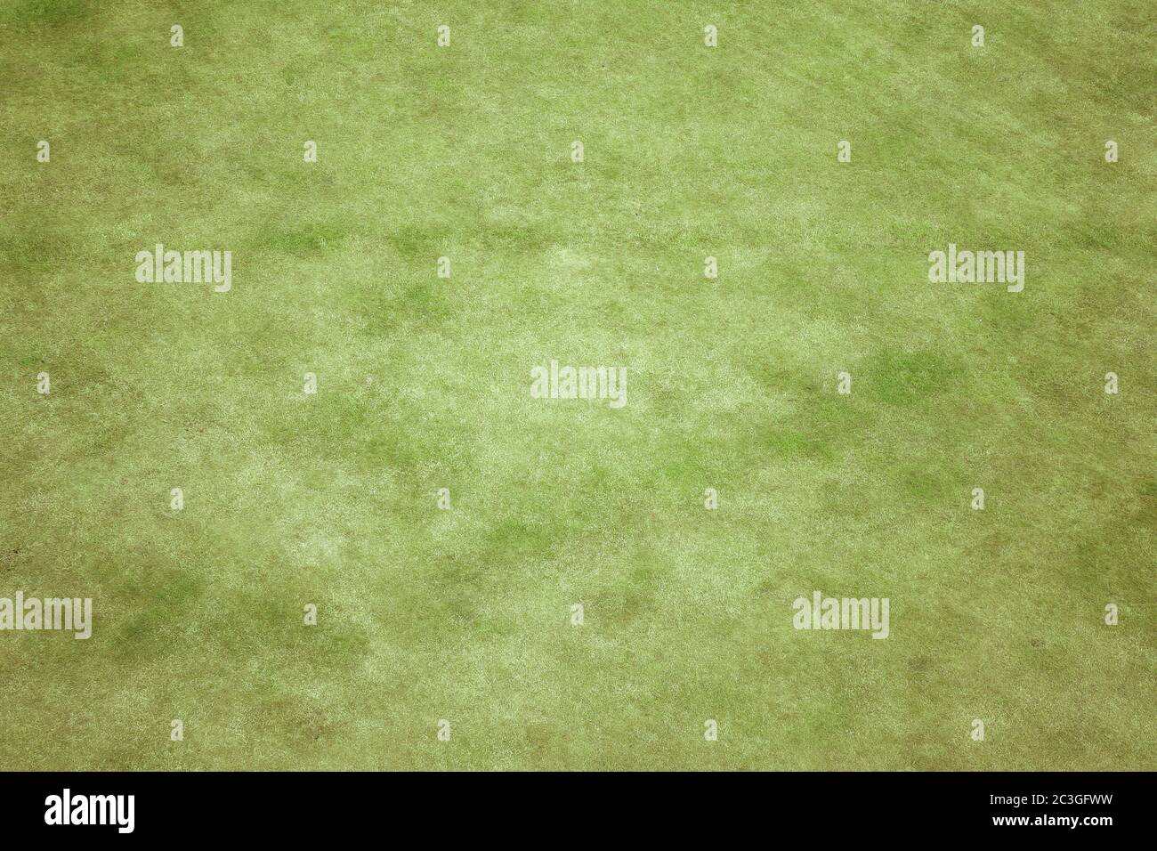 Overhead grass texture hi-res stock photography and images - Alamy