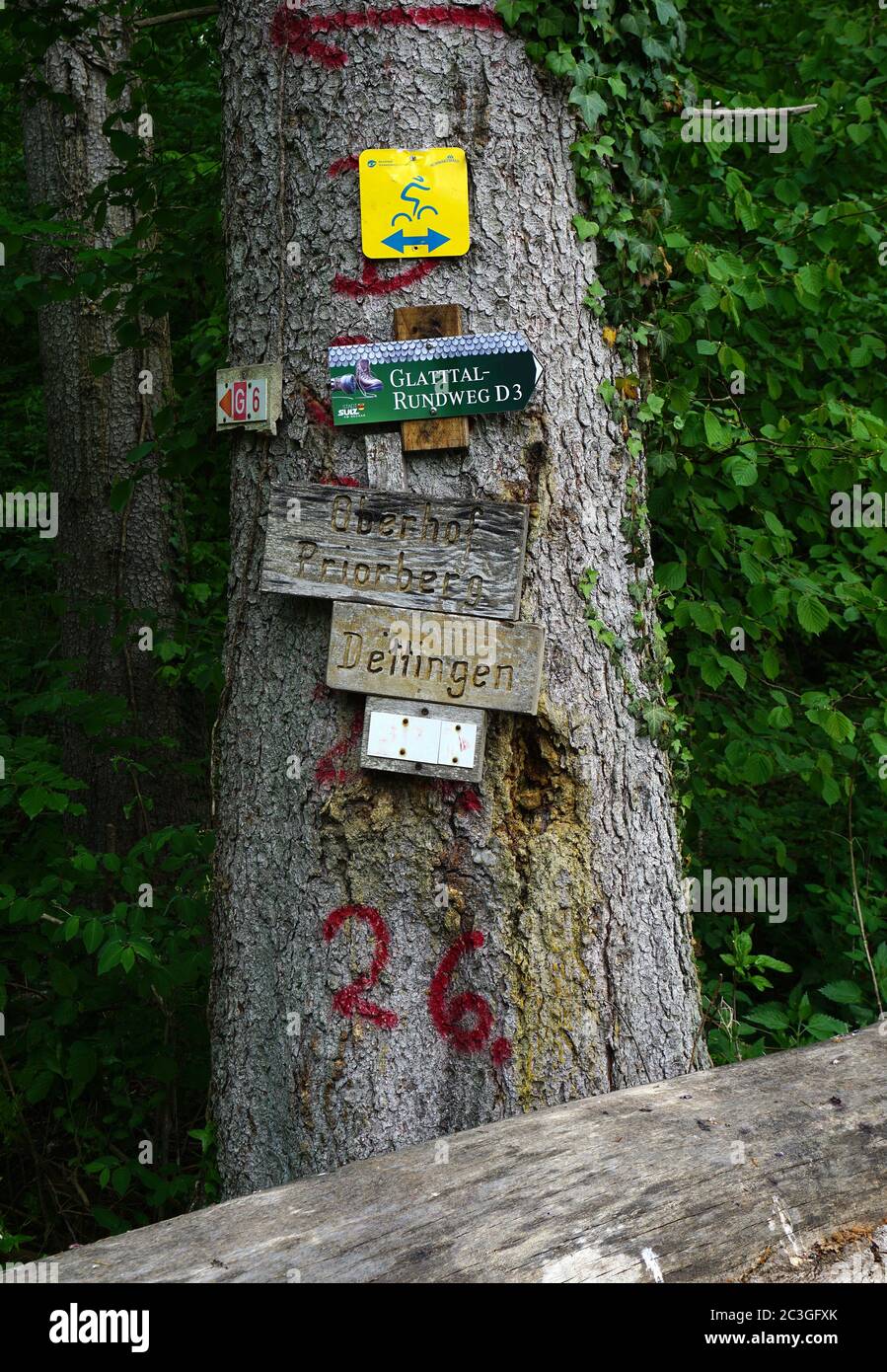 hiking sign, hiking signpost, black forest, germany Stock Photo - Alamy