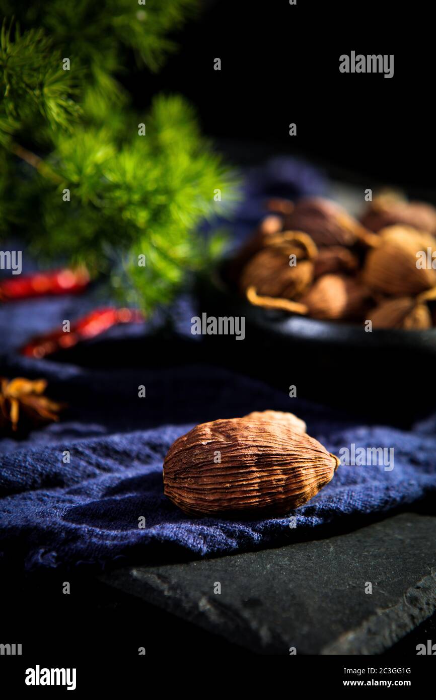 Amomum tsao ko hi-res stock photography and images - Alamy