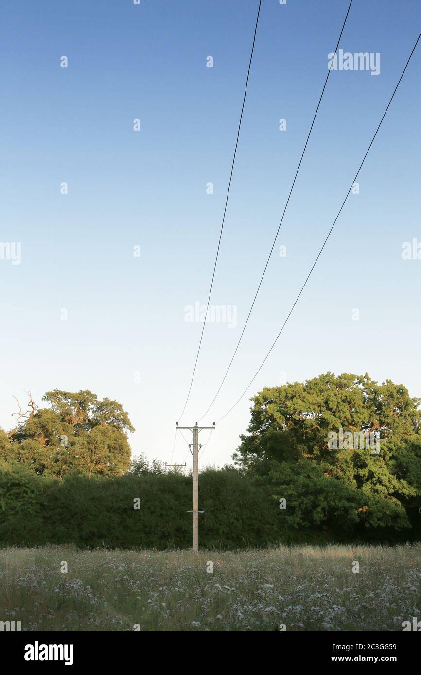 electric power lines going through a field in essex england Stock Photo ...