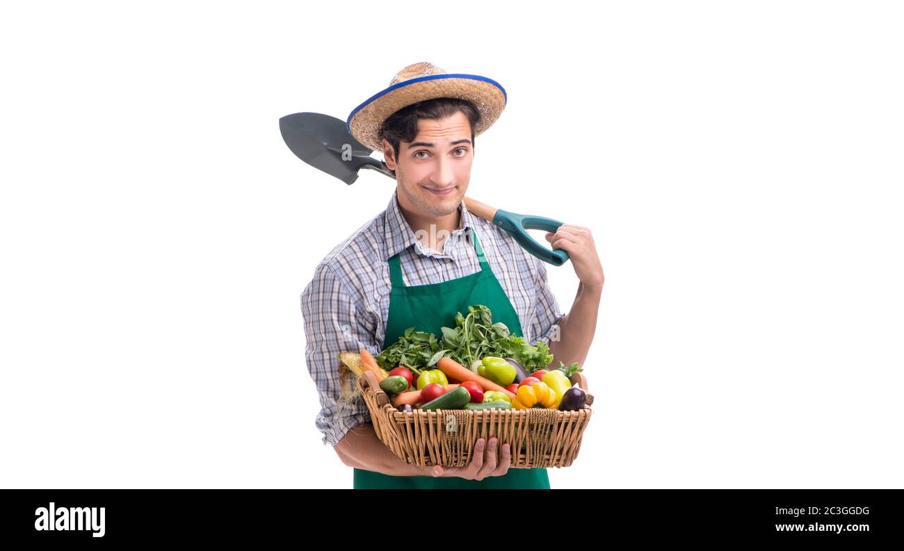 Young farmer with fresh produce isolated on white background Stock ...
