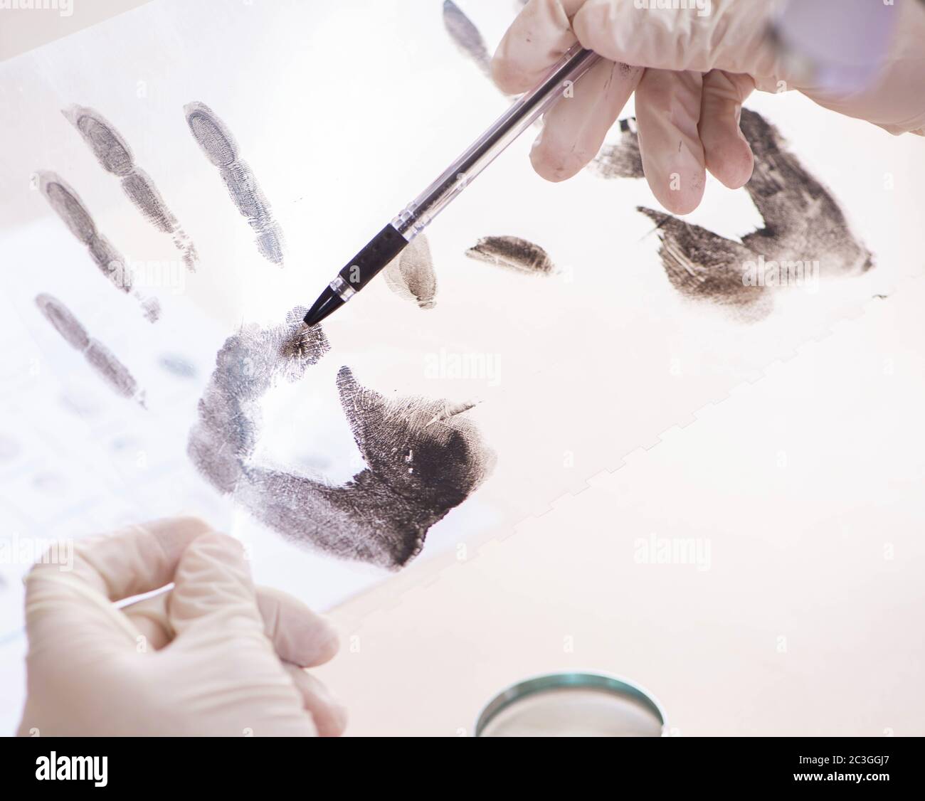 Forensic expert studying fingerprints in the lab Stock Photo - Alamy