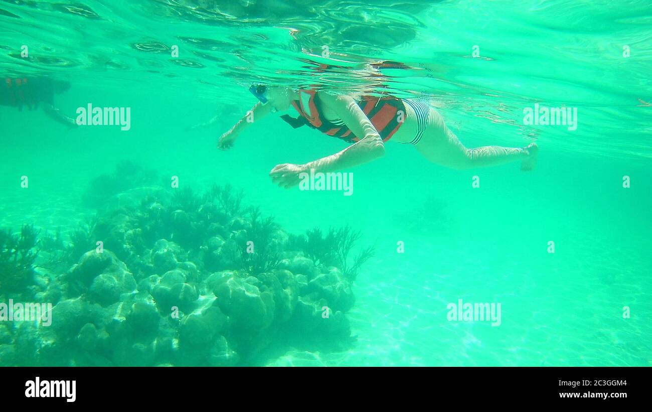 Picture of a person diving in the clear sea water Stock Photo - Alamy