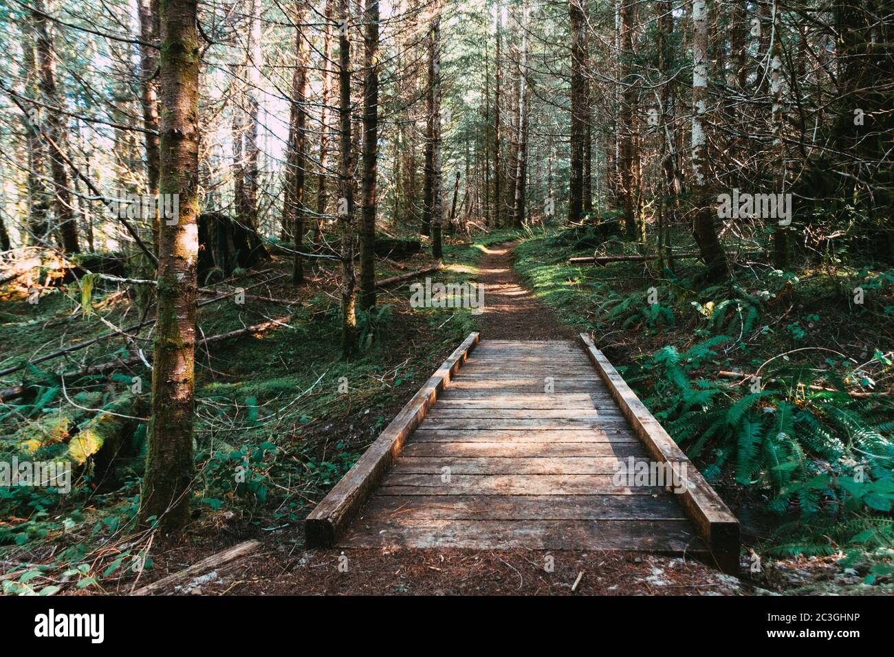 Beautiful scenery of a small board bridge leading over a ditch in the ...