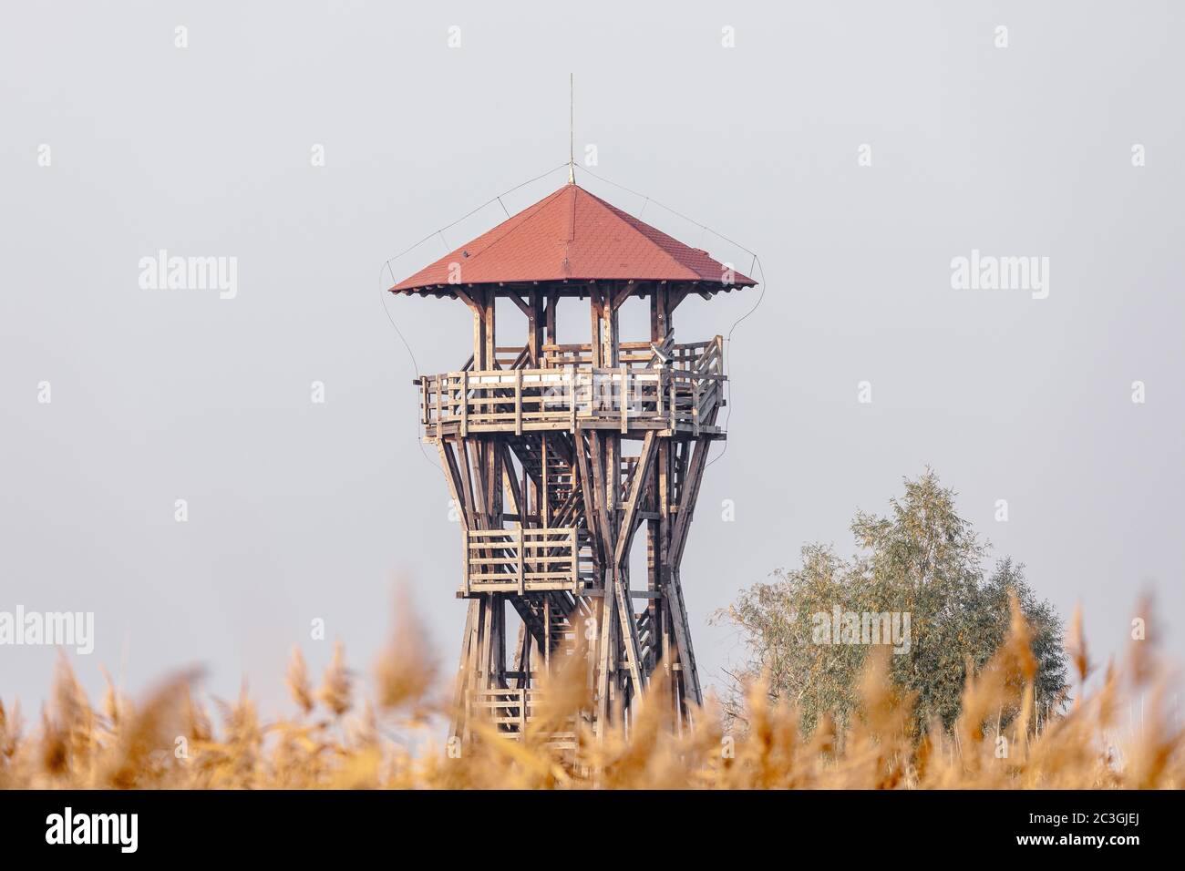 Architecture birdwatching tower hi-res stock photography and images - Alamy