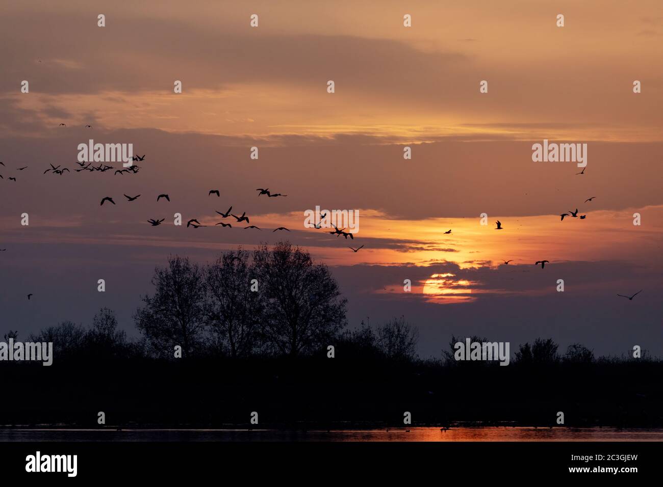 Nationalpark hortobagy hi-res stock photography and images - Alamy