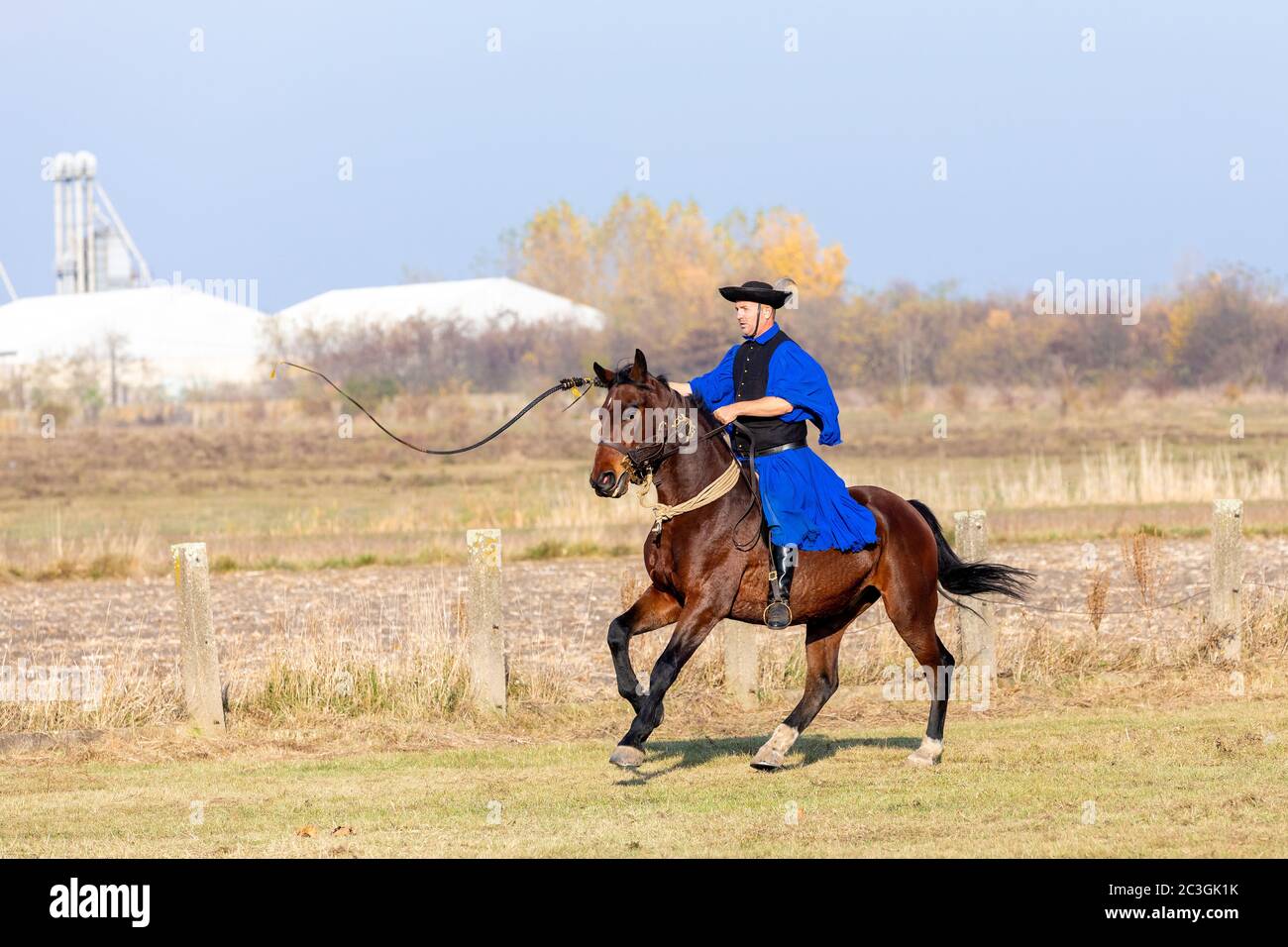 Hungarian csikos horseman in traditional folk costume Stock Photo - Alamy