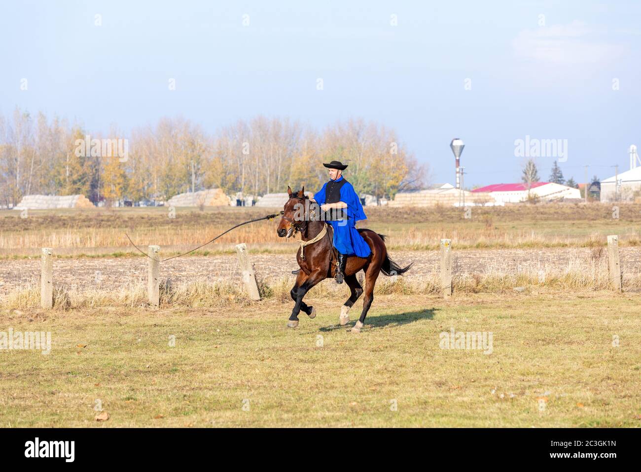 Hungarian csikos horseman in traditional folk costume Stock Photo - Alamy