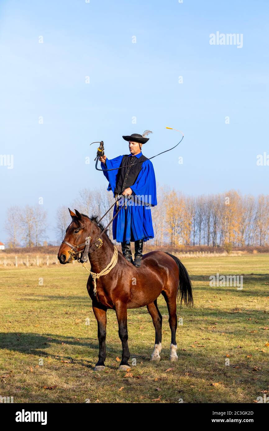 Hungarian csikos horseman in traditional folk costume Stock Photo - Alamy