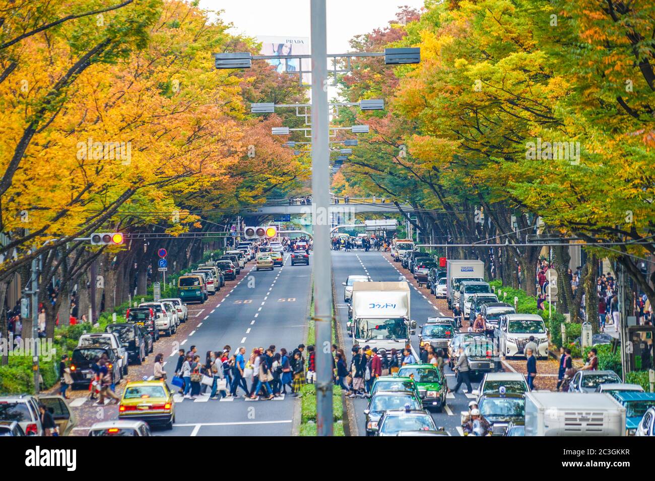 Omotesando hi-res stock photography and images - Alamy