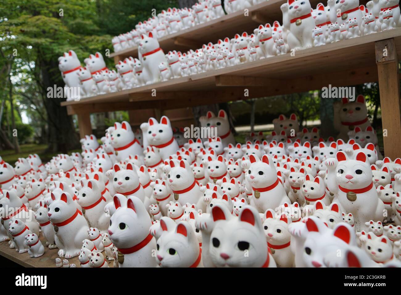 Image of Beckoning Stock Photo - Alamy