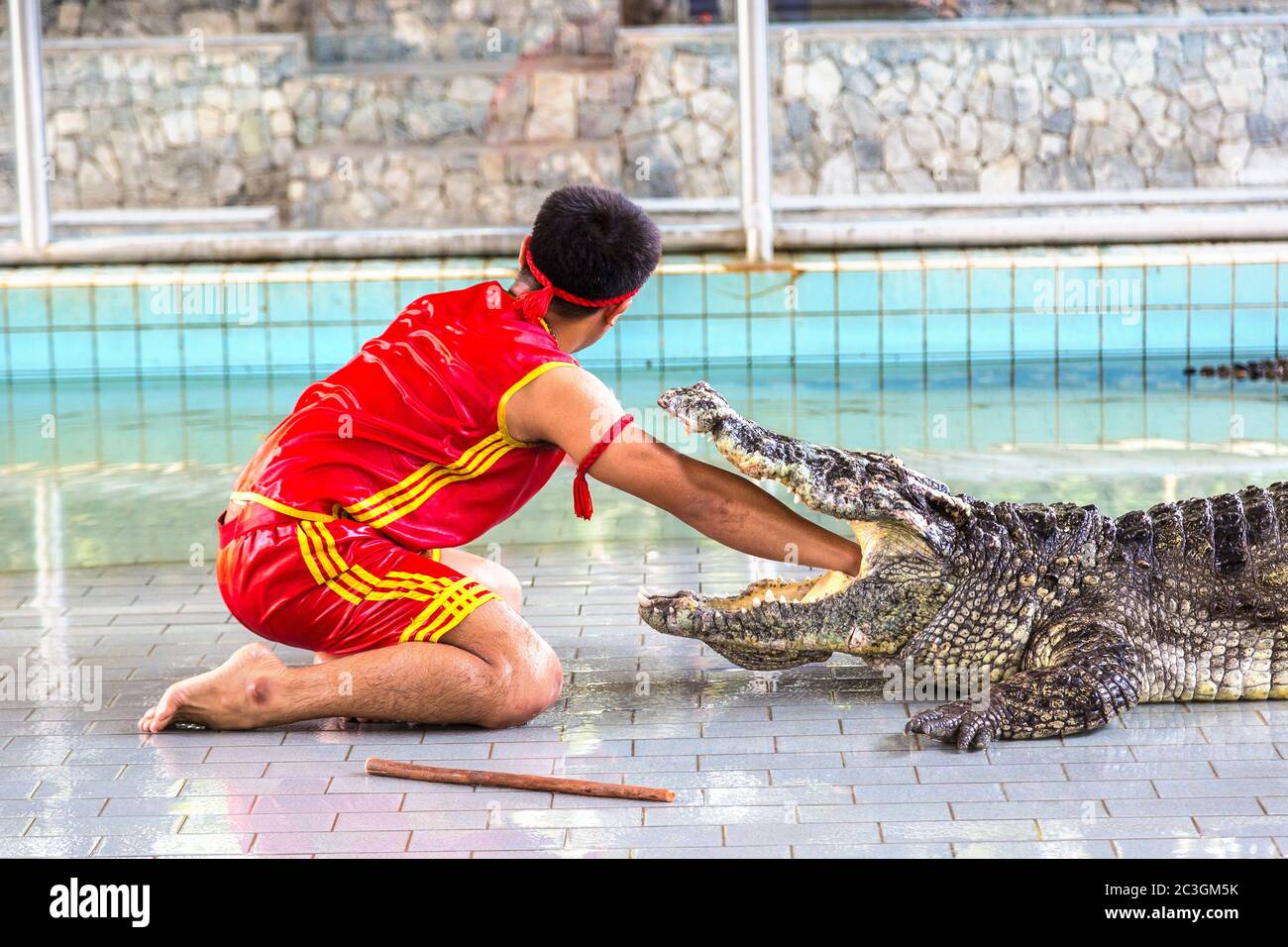 Crocodile show in Pattaya, Thailand in a summer day Stock Photo - Alamy
