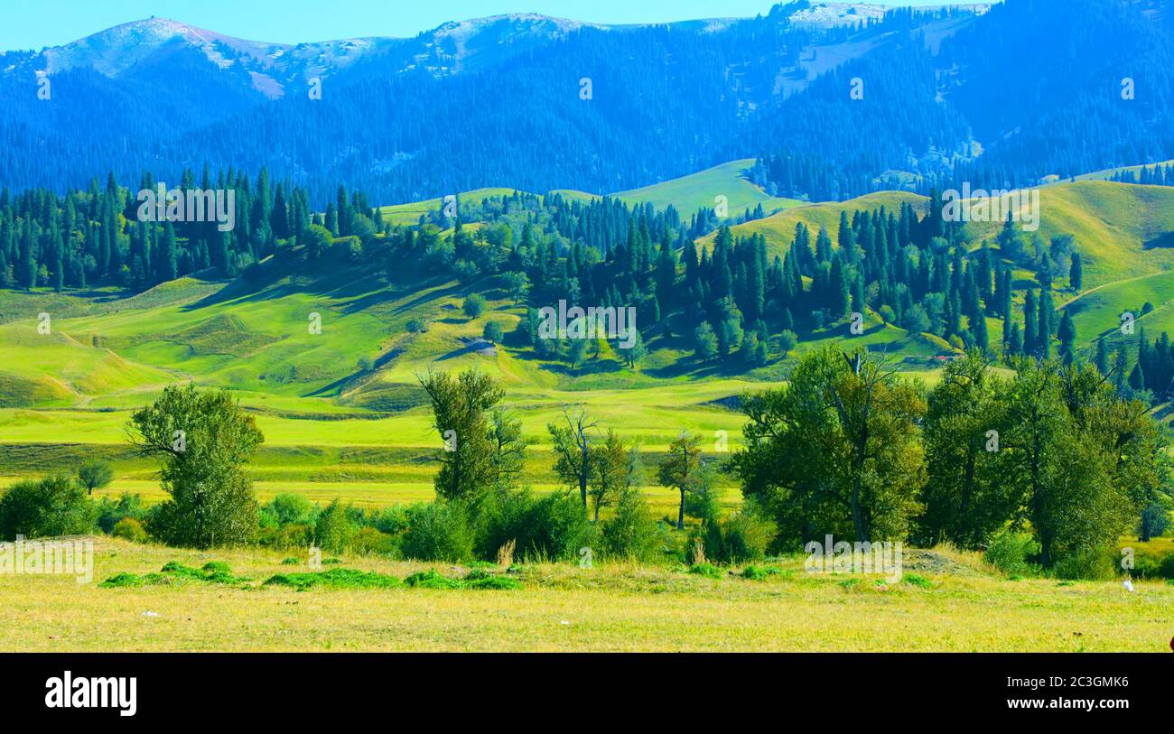 Nalati grassland hi-res stock photography and images - Alamy
