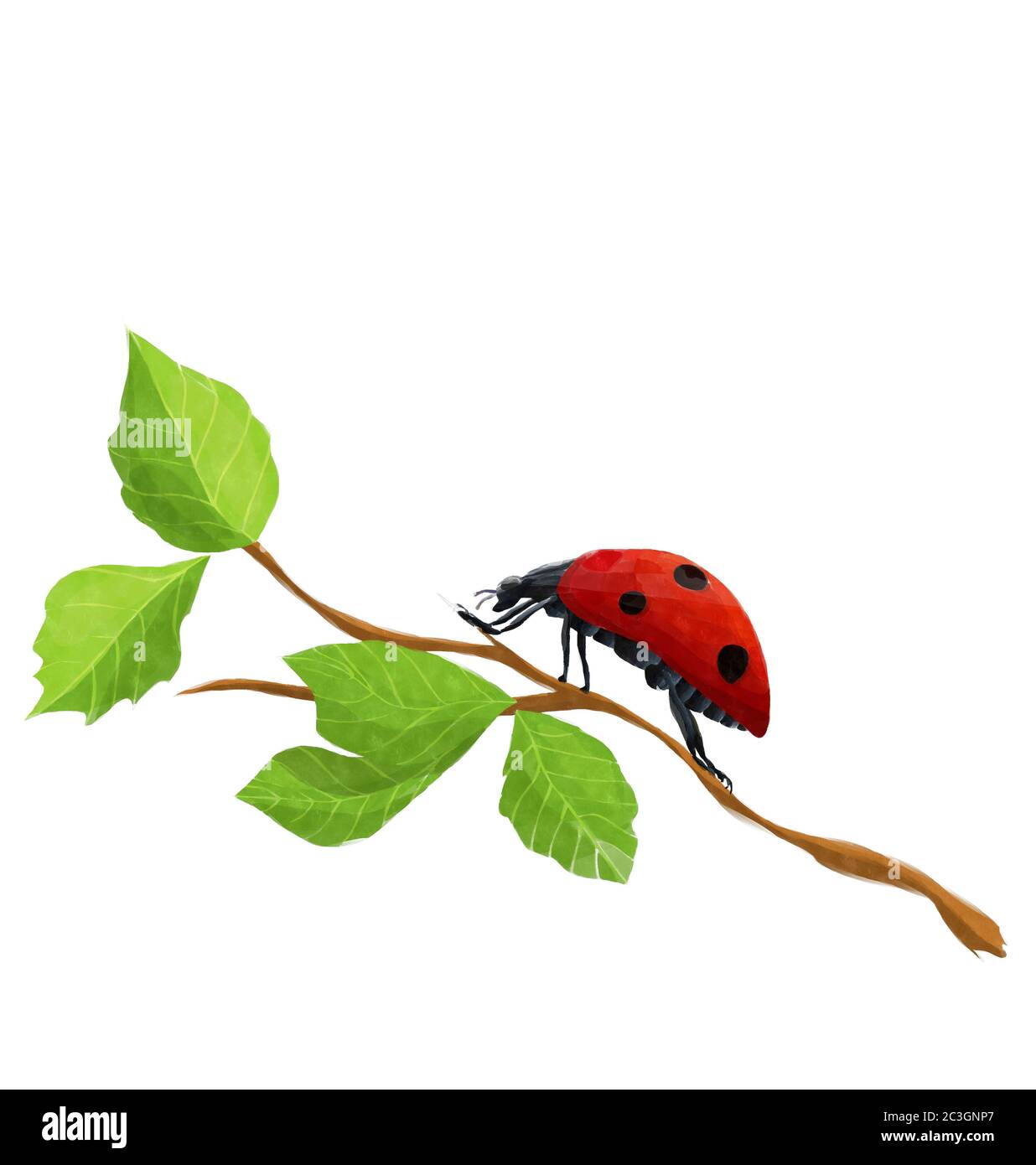 Cute watercolor ladybug Cut Out Stock Images & Pictures - Alamy