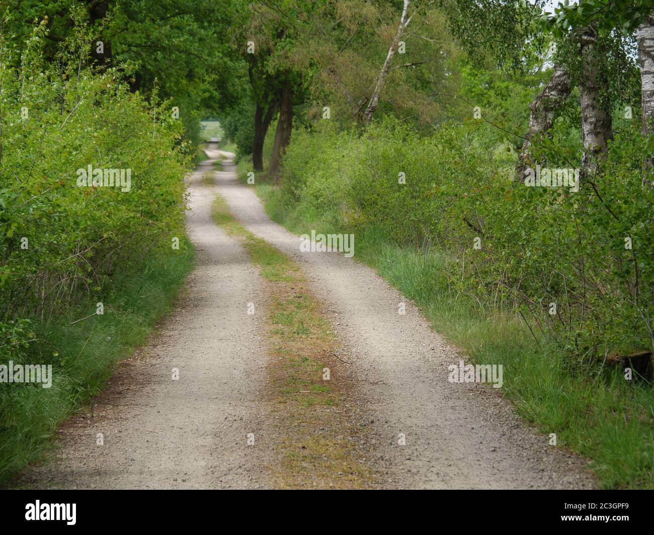 Germany green pasture hi-res stock photography and images - Alamy