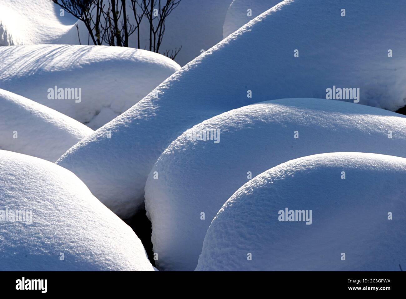 Manchuria county hi-res stock photography and images - Alamy