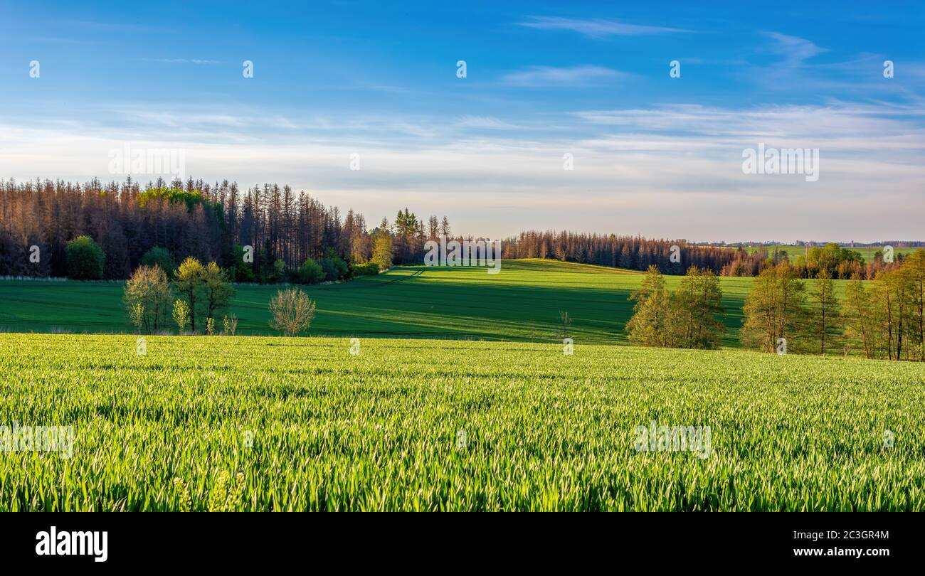 Spring rural landscape hi-res stock photography and images - Alamy