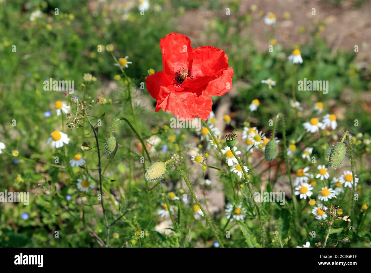 Set asside hi-res stock photography and images - Alamy