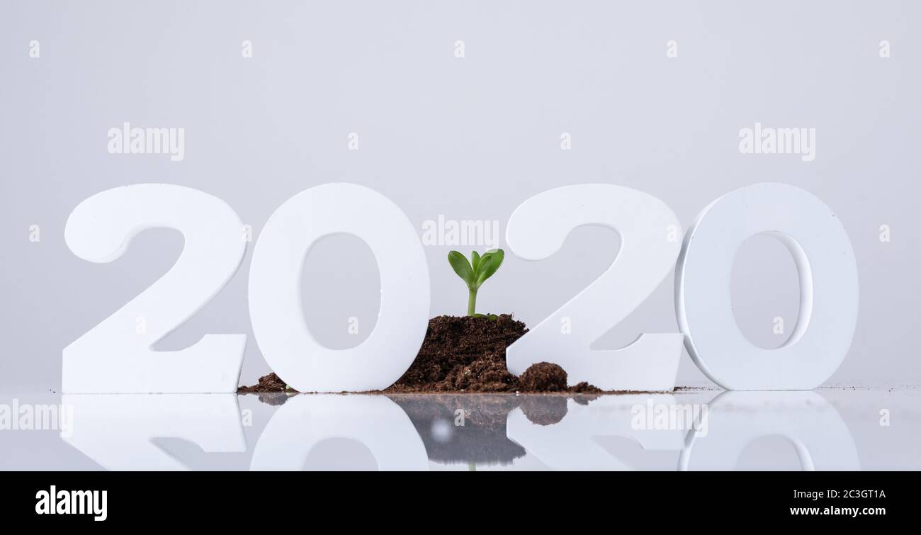 Happy 2020 on a white background with soil and sprout of a plant Stock ...