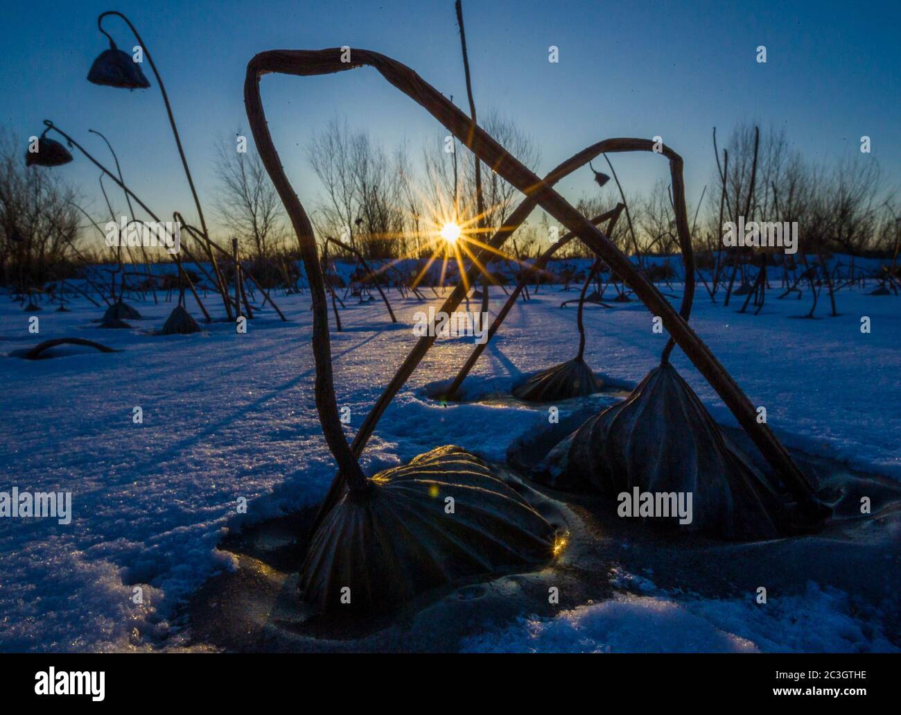 Snow and ice remaining morning scenery Stock Photo - Alamy