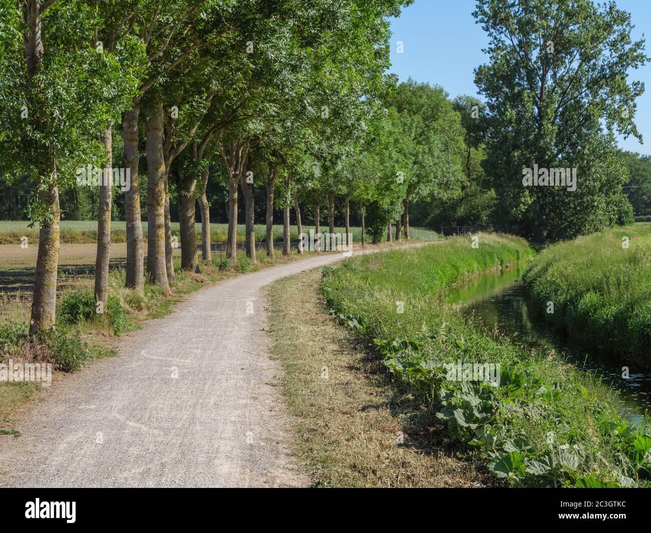 hiking near the river Stock Photo - Alamy