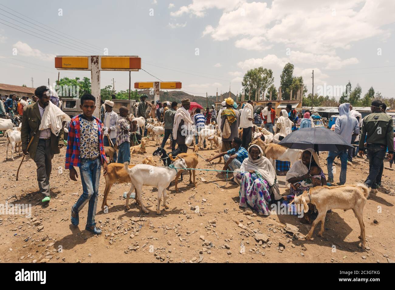 African Animal Market High Resolution Stock Photography and Images - Alamy