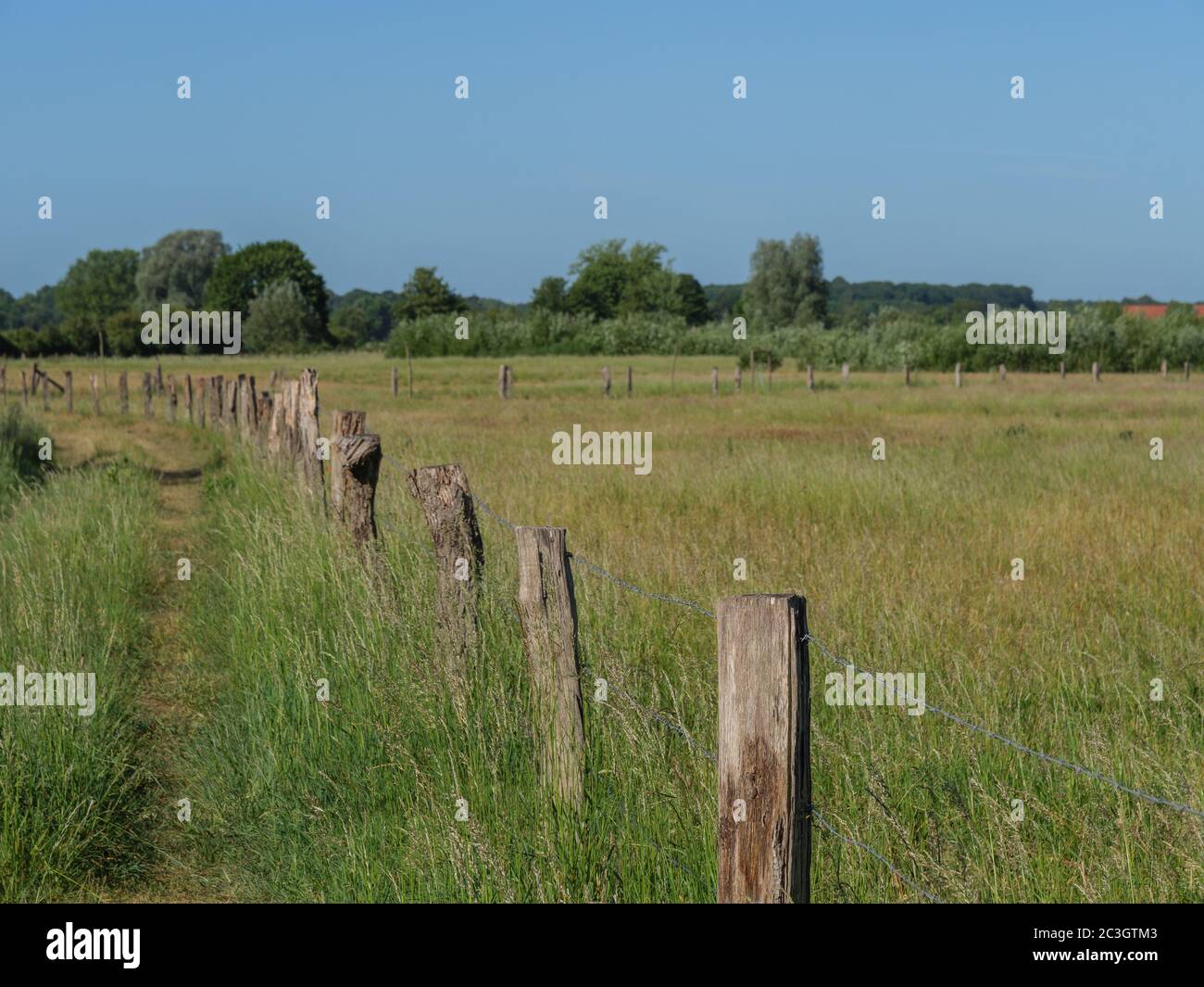 Meadow fence hi-res stock photography and images - Alamy