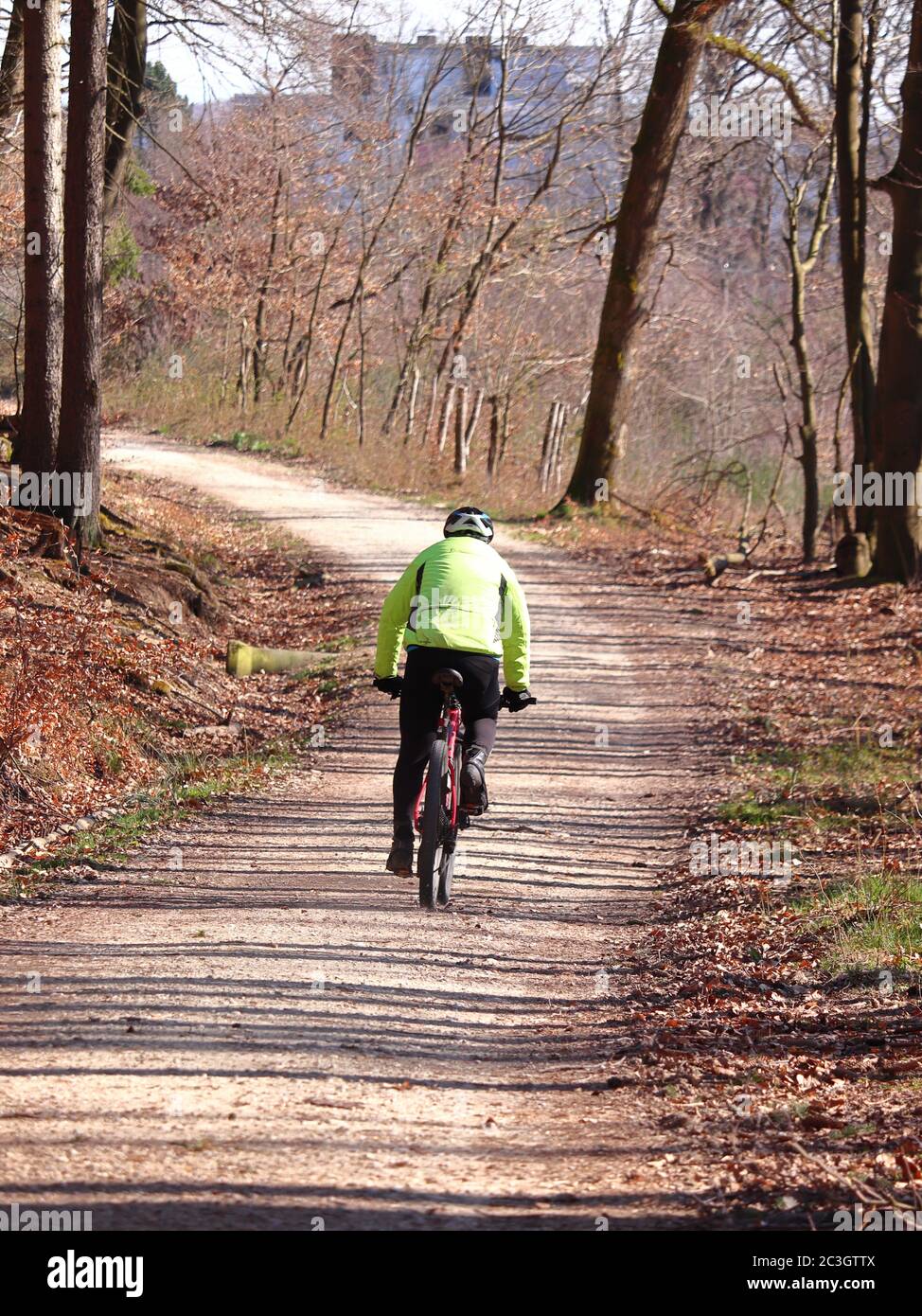 Vertical shot of a cycler riding a bike in an autumn forest Stock Photo ...