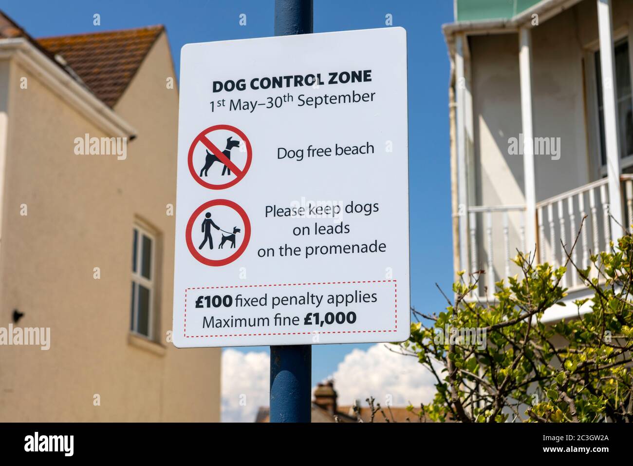 Dog control hi-res stock photography and images - Alamy