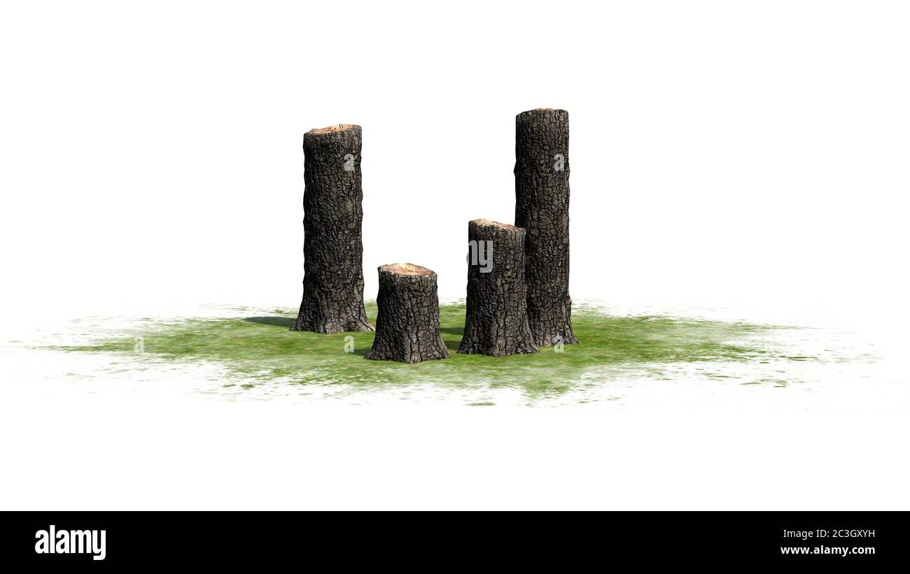 Old stumps Cut Out Stock Images & Pictures - Alamy
