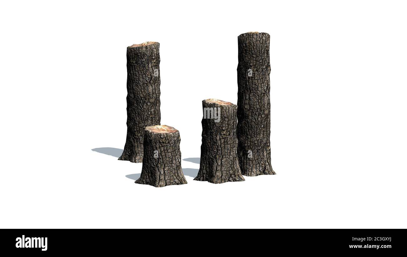 several tree stumps with shadow on the floor - isolated on white ...