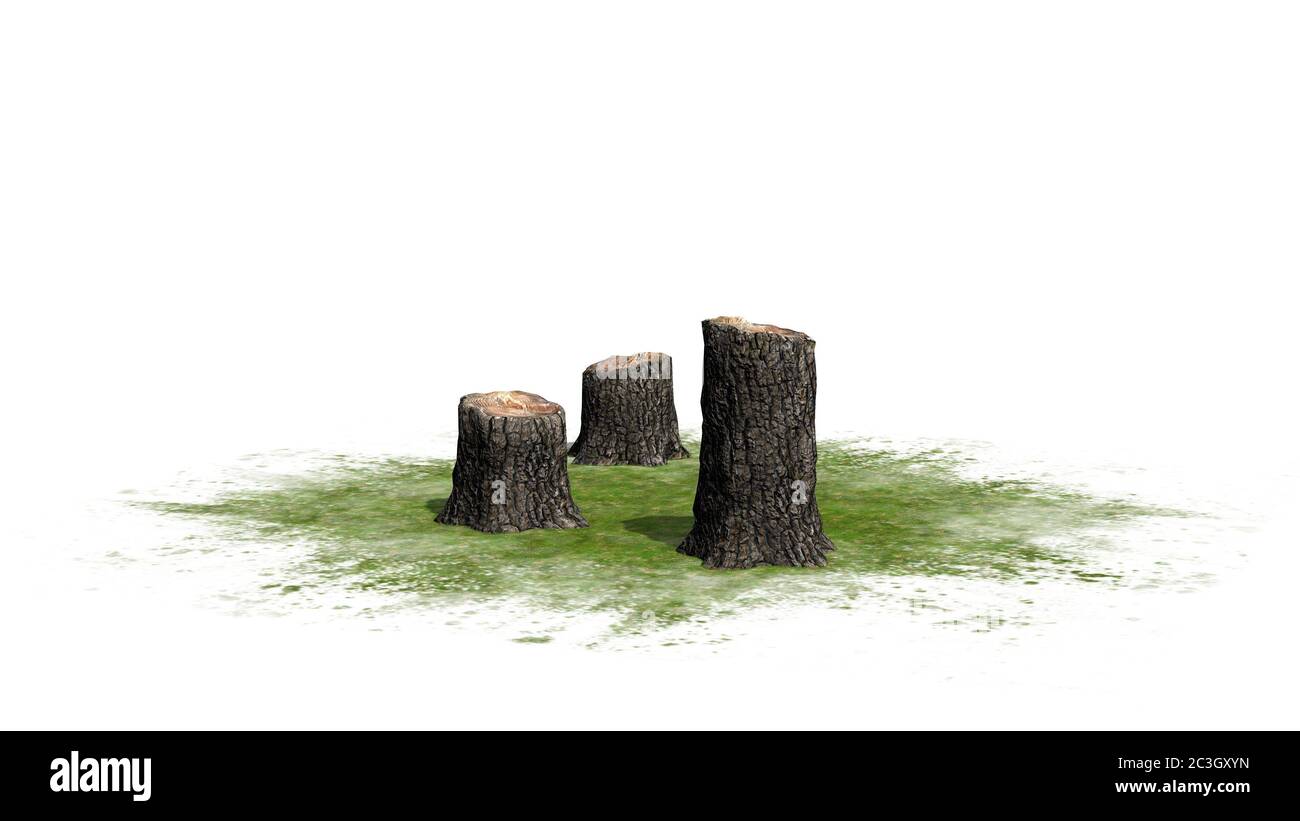 Several various Tree stumps on a green area - isolated on white ...