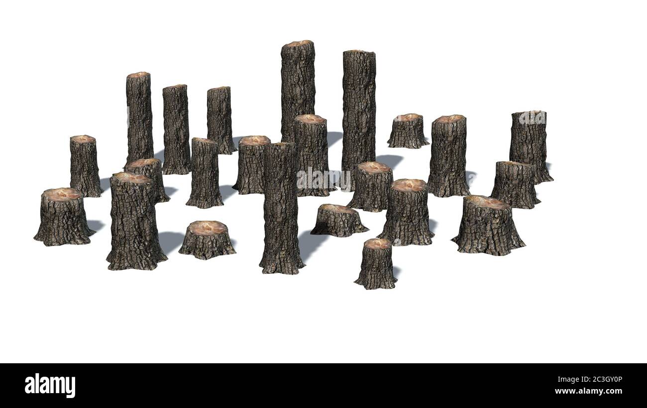 Many several tree stumps with shadow on the floor - isolated on white ...