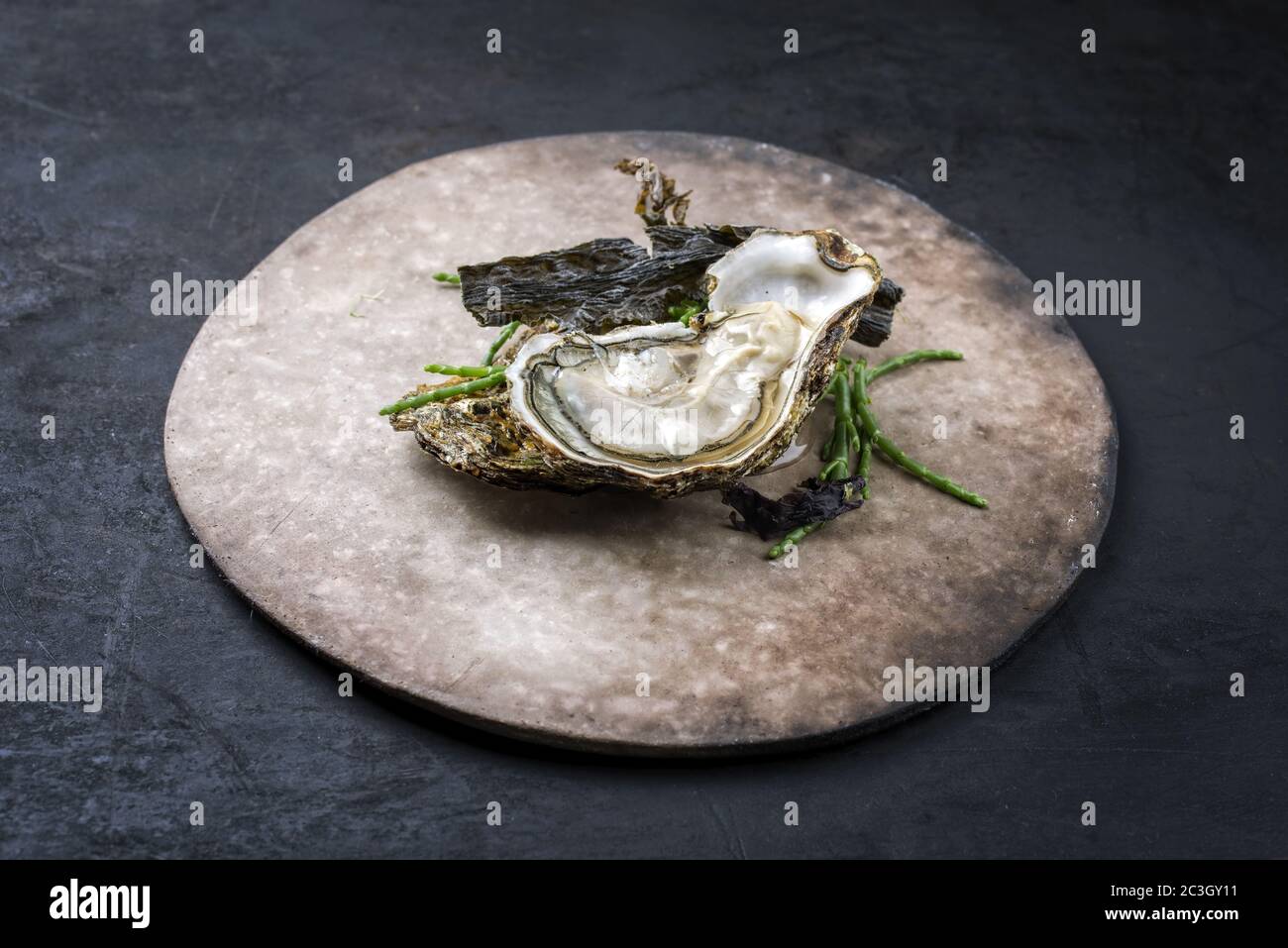 Fresh rock oyster offered as closeup opened with glasswort and algae as ...