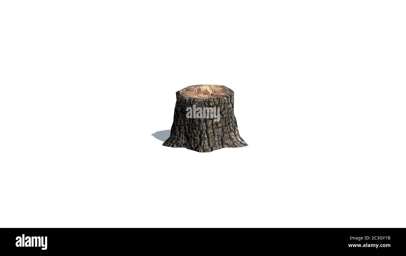 A single Tree stump - isolated on white background Stock Photo - Alamy