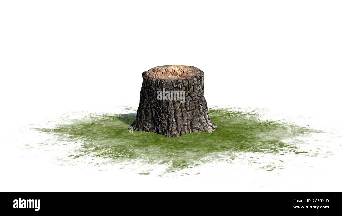 Tree stump on a green area - isolated on white background Stock Photo ...