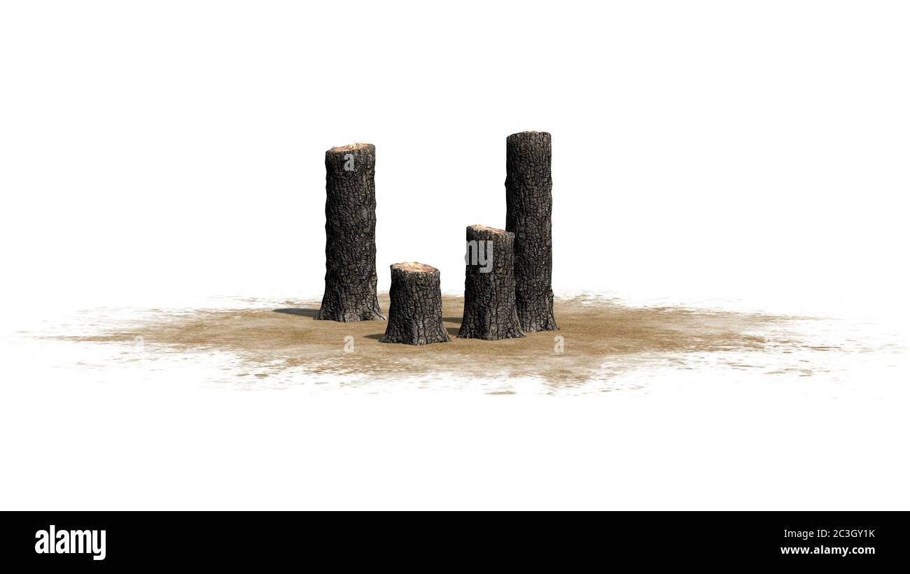 Several various Tree stumps on a sand area - isolated on white ...