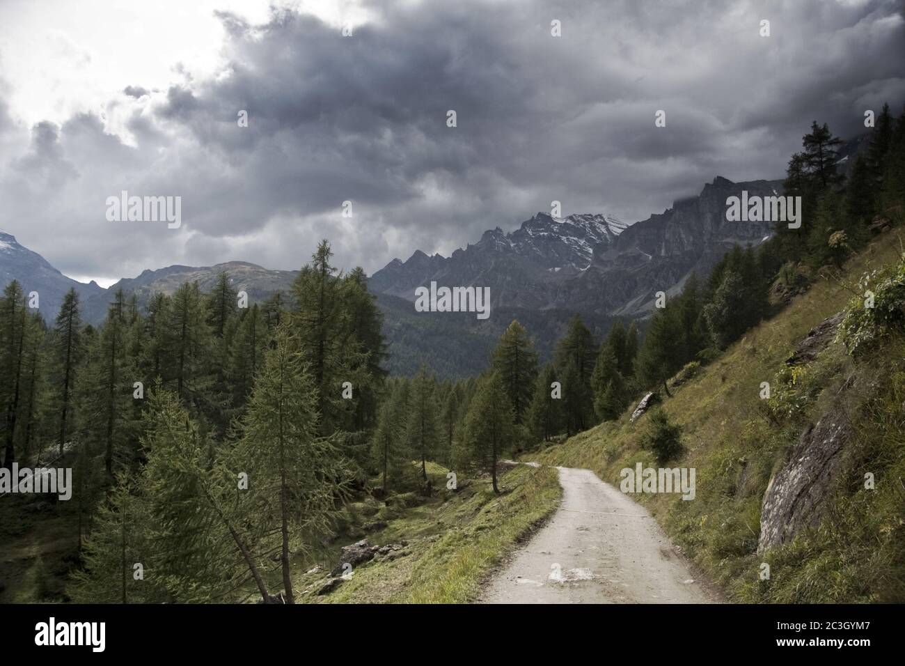 Pathway surrounded by rocky mountains covered in greenery under a ...