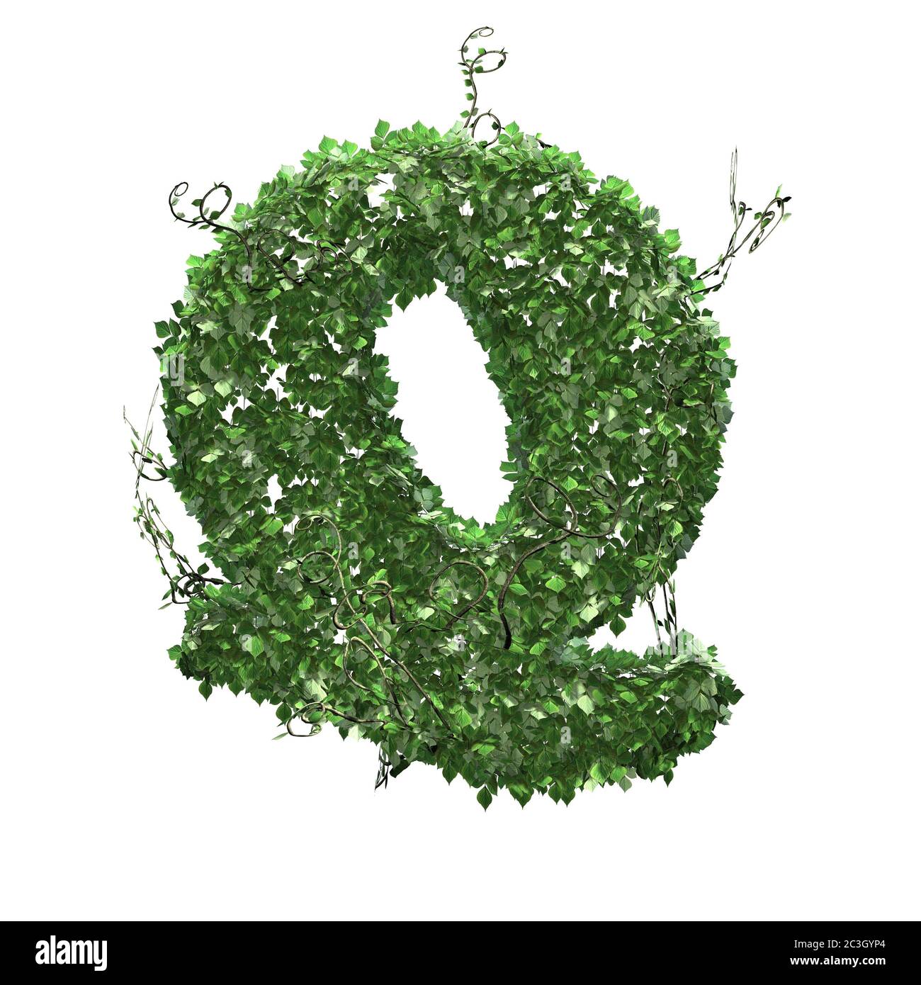 Letter q plant hi-res stock photography and images - Alamy