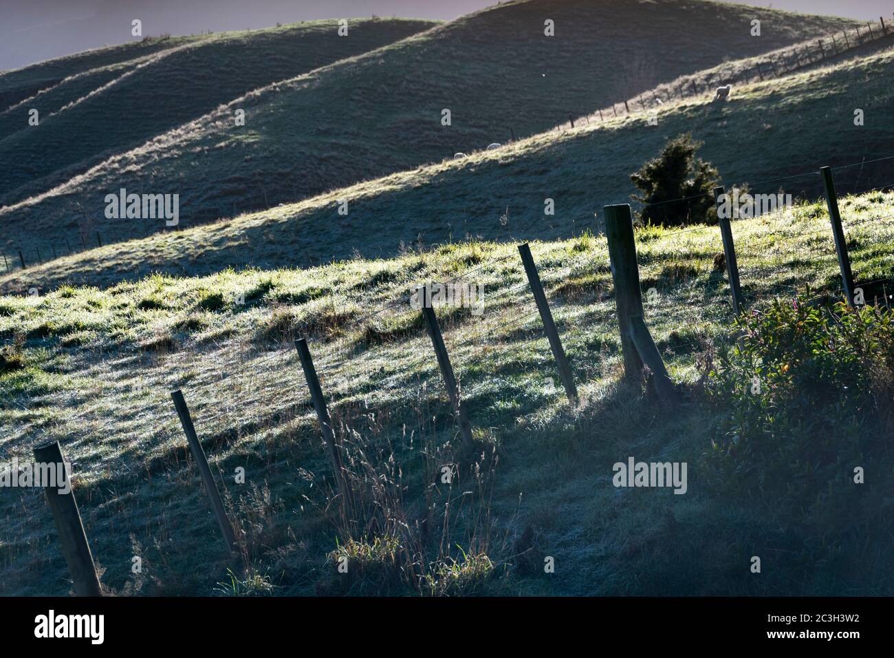 Hilly farmland, Battle Hill Regional Park, near Pauatahanui, Porirua ...