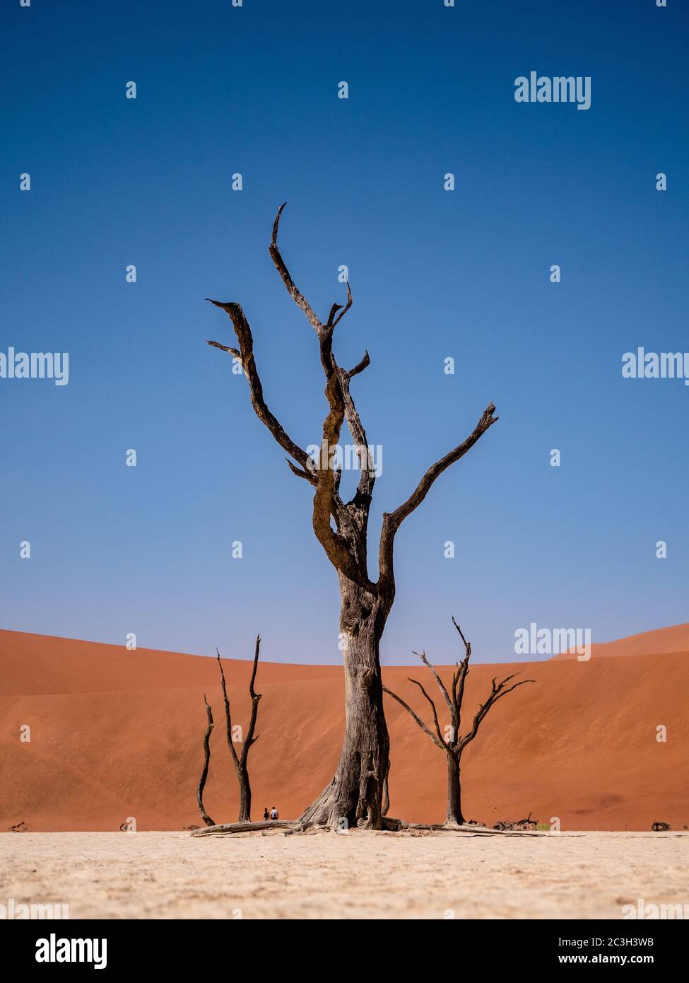 dead valley, sossusvlei, namibia Stock Photo - Alamy