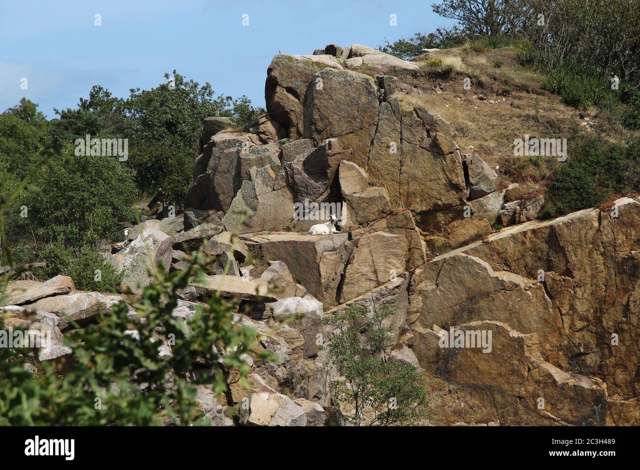 Beautiful rocks during daytime in Danish island, Bornholm Stock Photo ...